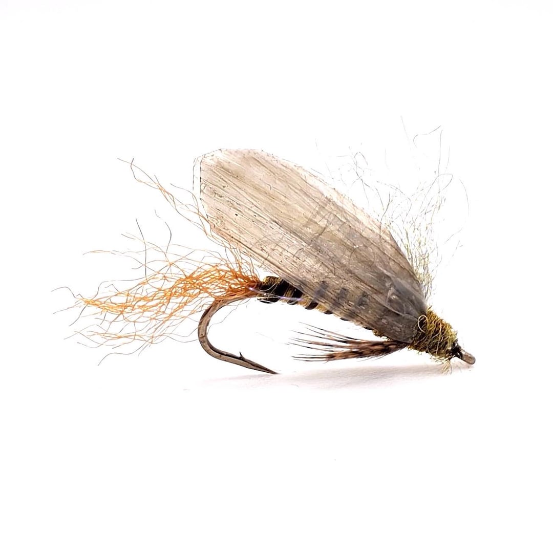 3 Realistic Caddis Emerger Wet Fly With Artificial Wings - Fly Fishing ...