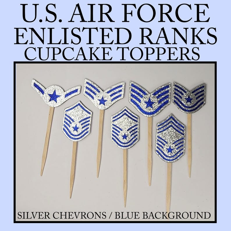 Air Force Enlisted Ranks Cupcake Toppers, Silver Top, Blue Bottom ...