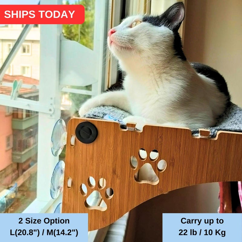 Cat Window Perch - Etsy