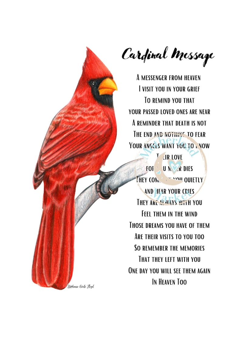 Cardinal Sympathy Card: Memorial Poem Gift - Etsy
