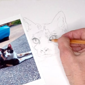 Pet Portrait Memorial Card Hand Painted Drawing, Custom Sympathy ...