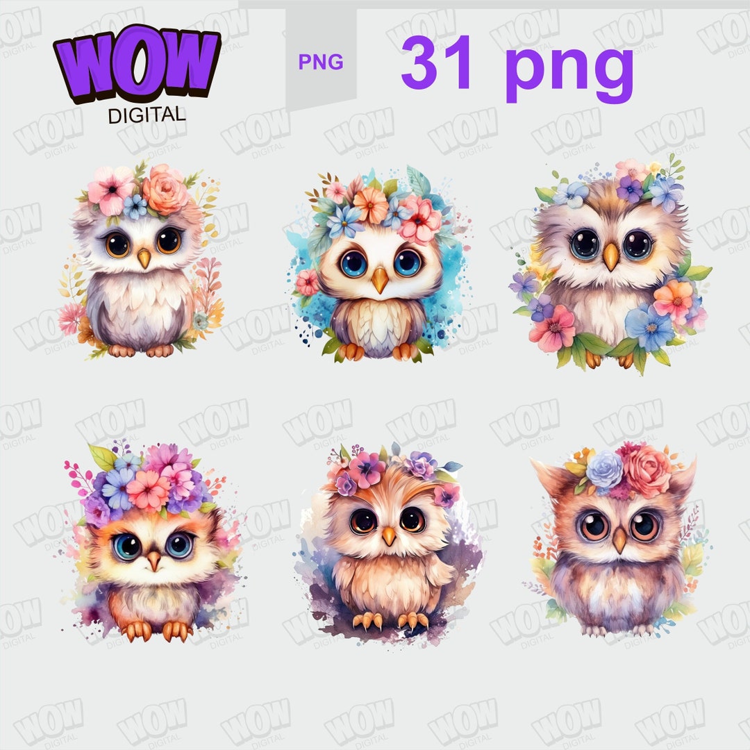 Baby Owl Clipart PNG, Digital Download - Etsy