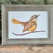 Carolina Wren - Watercolor Print - Etsy