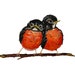 Baby Robins - Watercolor Print - Etsy