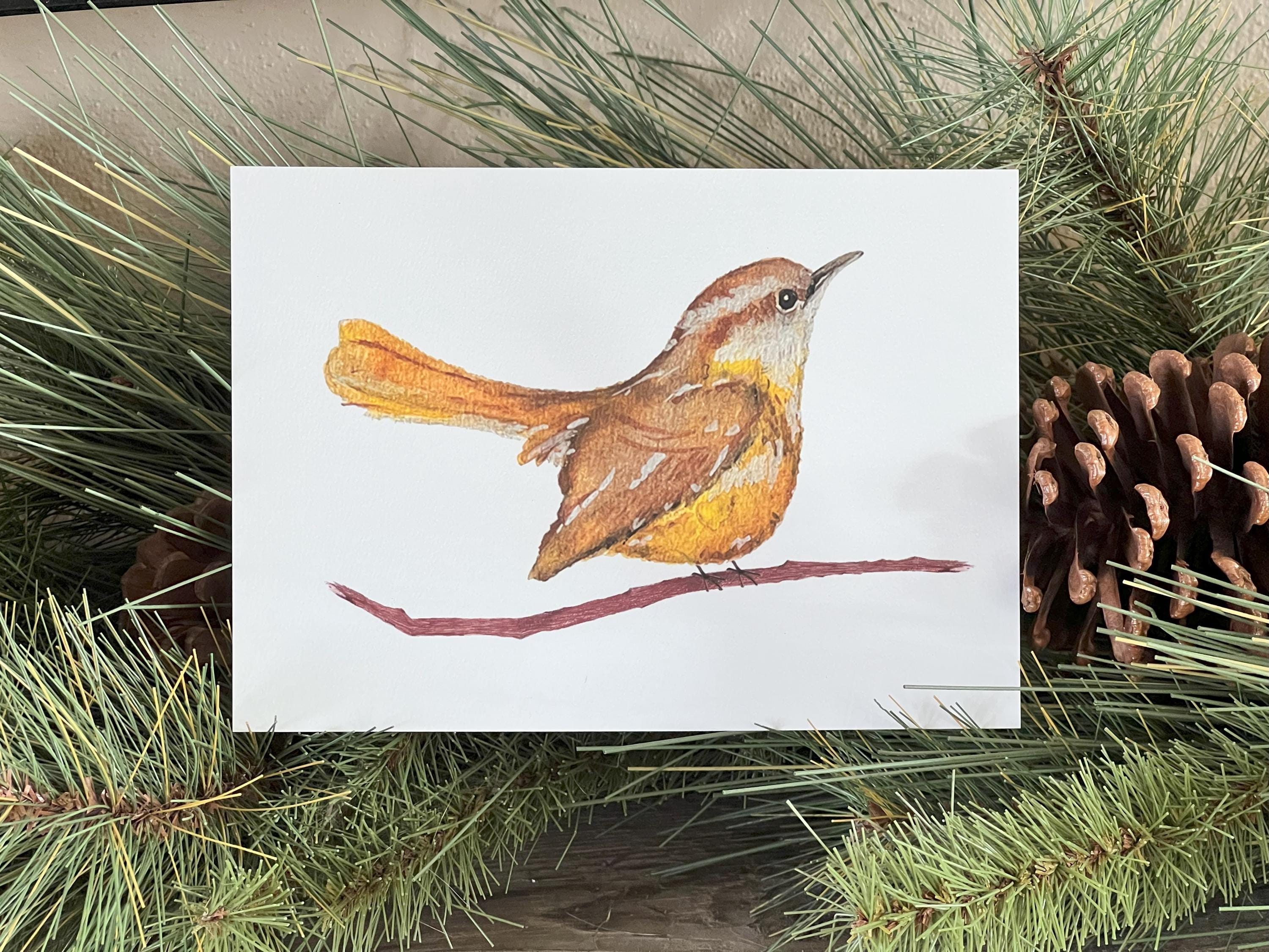 Carolina Wren - Watercolor Print - Etsy