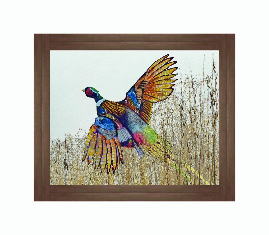 Flying Ring Neck Pheasant - With or Without Prairie Grass Options ...