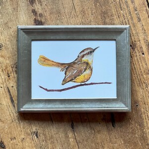 Carolina Wren - Watercolor Print - Etsy