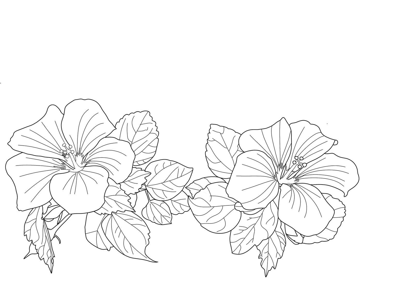 Hibiscus Fine Line Tattoo Stencil - Etsy