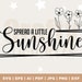 Spread a Little Sunshine SVG, Summer Sunshine Svg, Flower Sunshine SVG ...