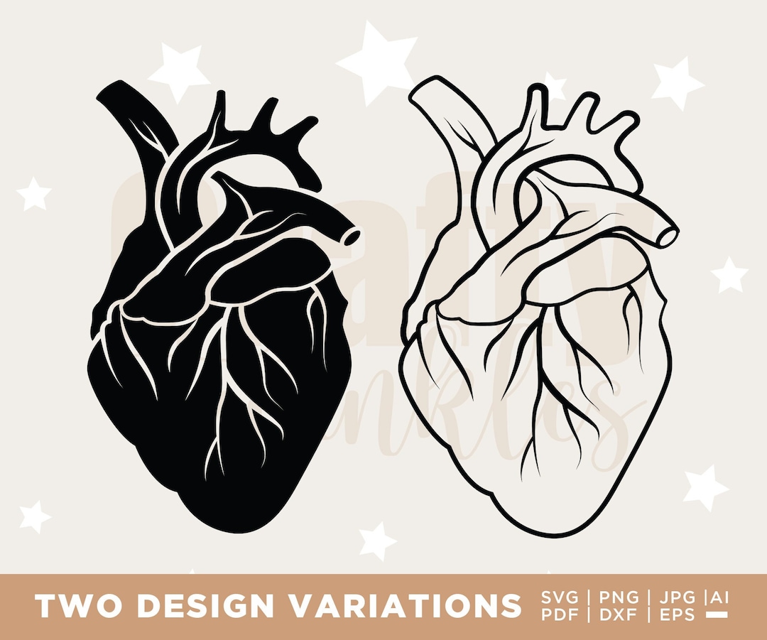 Anatomical Heart Svg, Heart Svg, Nurse Life, Medical Doctor Anatomy ...