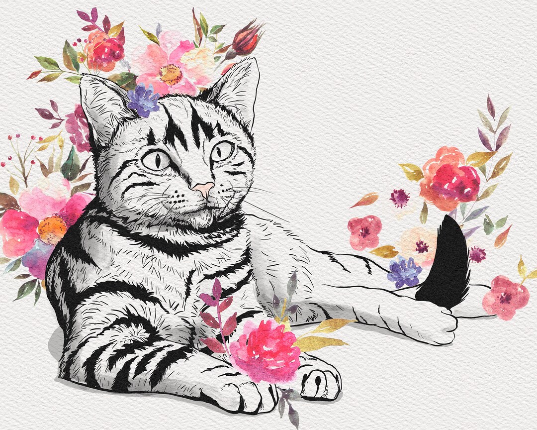 Digital Drawing of a Tabby Cat in Lineart With Pen as a Black and White ...