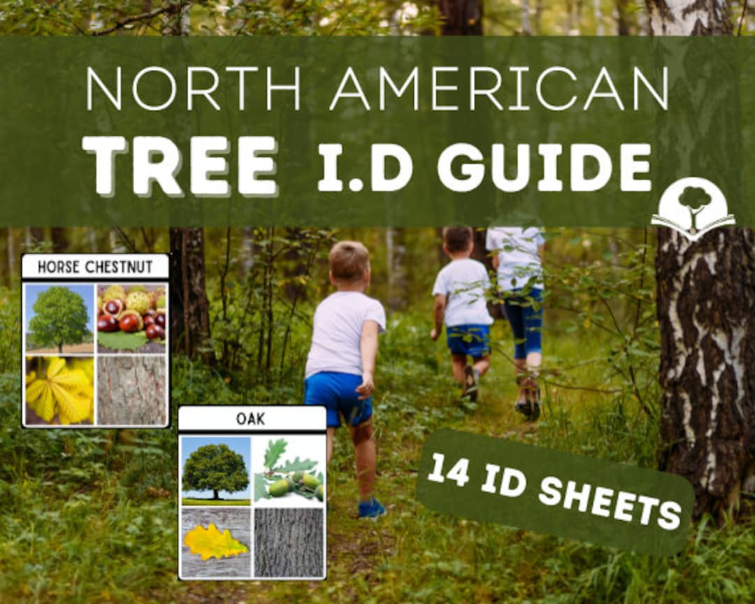 North American Tree ID Guide - Digital Download, 14 Printable ID Sheets ...