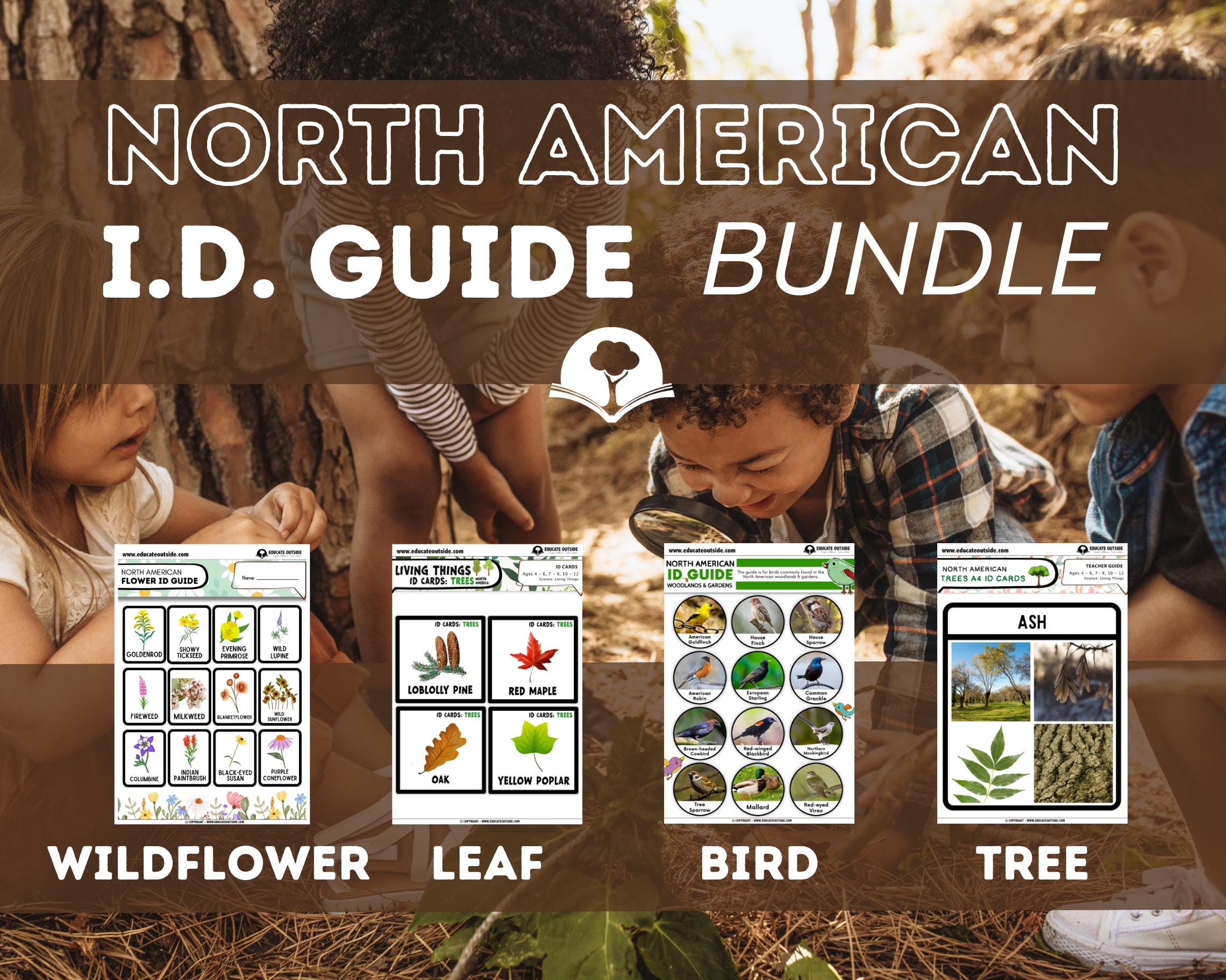 Kids Outdoor ID Guide Bundle - North American Trees, Leaves, Birds, and ...