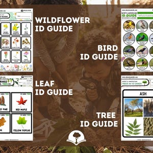 Kids Outdoor ID Guide Bundle - North American Trees, Leaves, Birds, and ...
