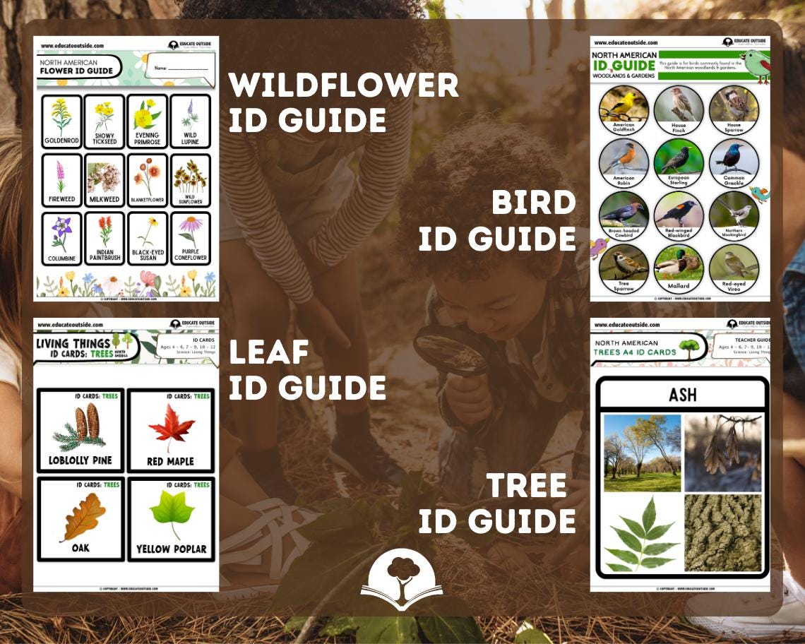 Kids Outdoor ID Guide Bundle - North American Trees, Leaves, Birds, and ...