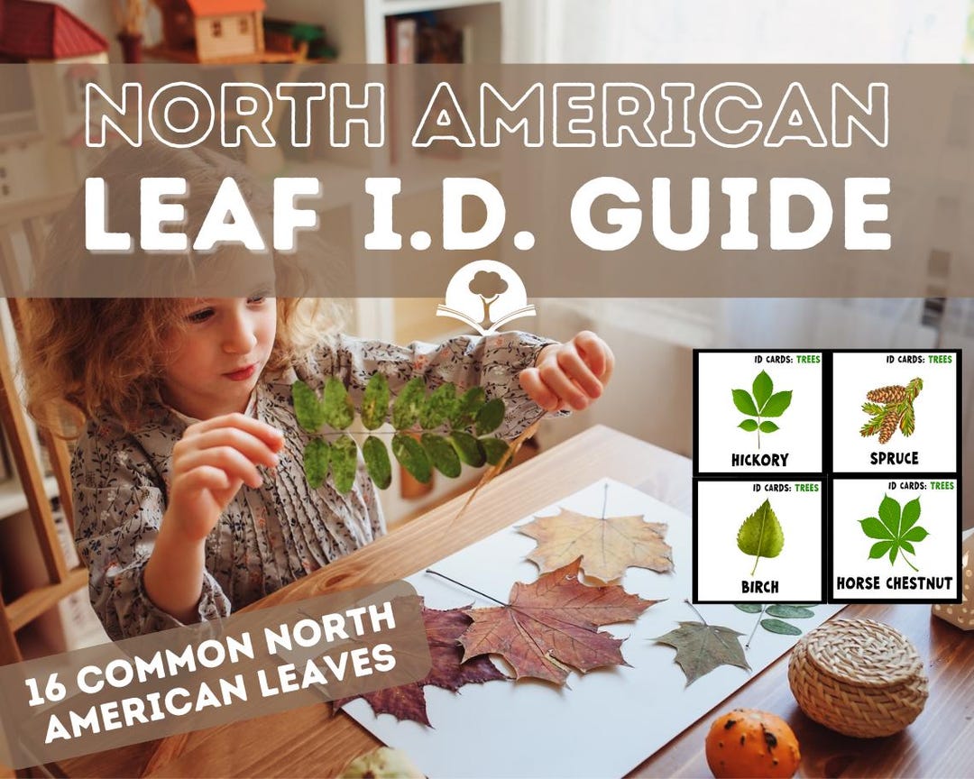 North American Leaf ID Guide - Digital Download / Printable - Etsy