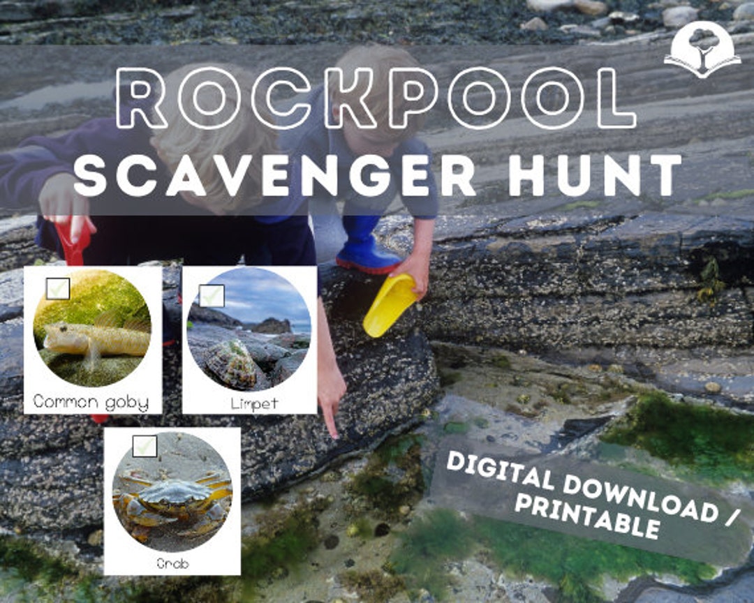 Rockpool Scavenger Hunt (digital Download / Printable) - Etsy