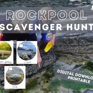 Rockpool Scavenger Hunt (digital Download / Printable) - Etsy