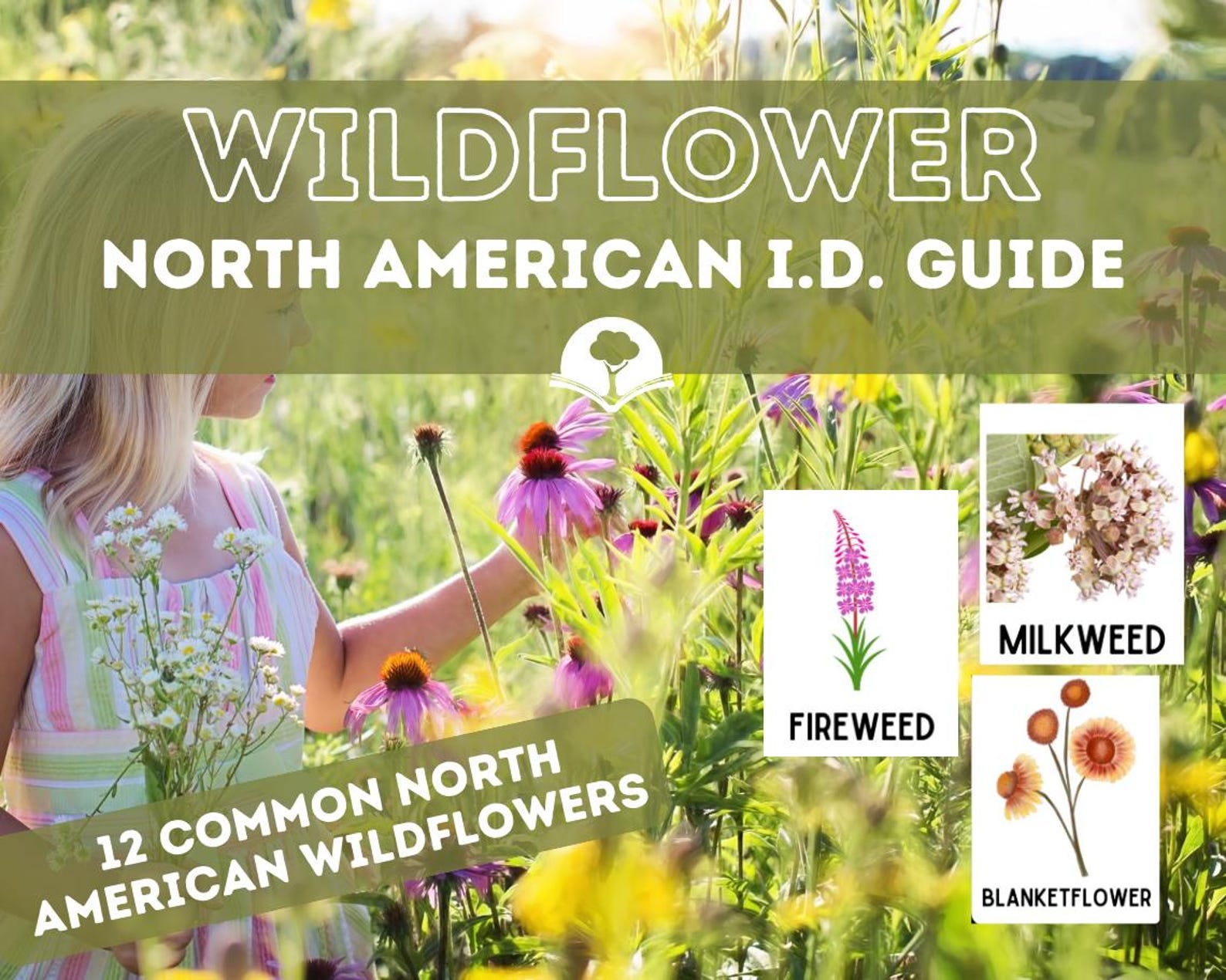 North American Wildflower ID Guide - Digital Download / Printable - Etsy