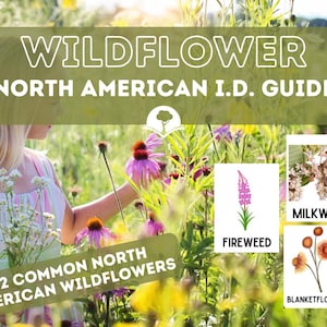 North American Wildflower ID Guide - Digital Download / Printable - Etsy