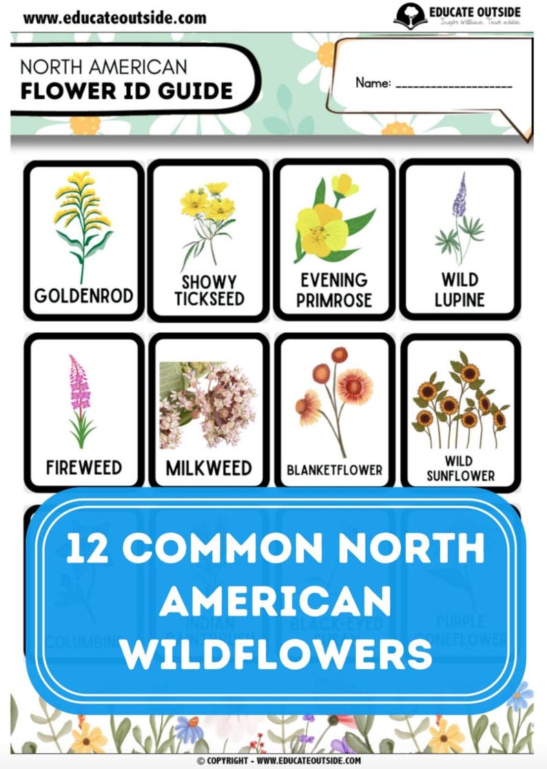 North American Wildflower ID Guide - Digital Download / Printable - Etsy