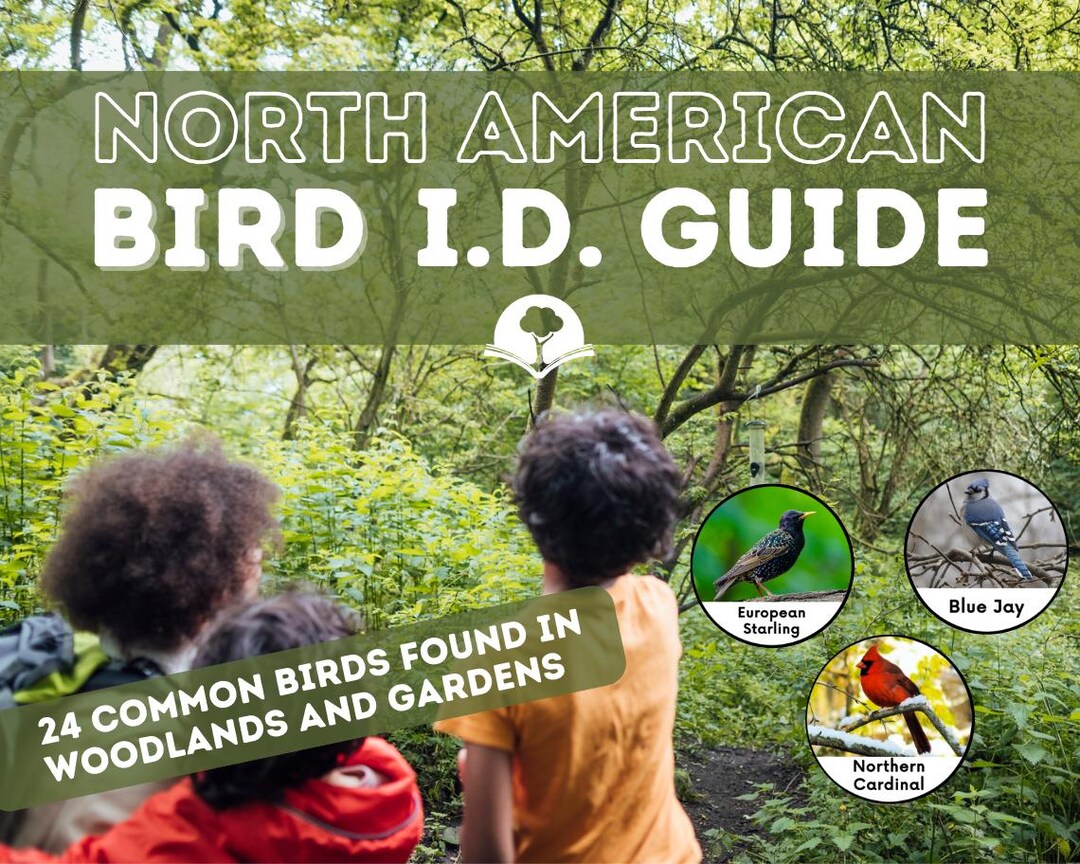 North American Bird ID Guide - Digital Download / Printable for Kids - Etsy