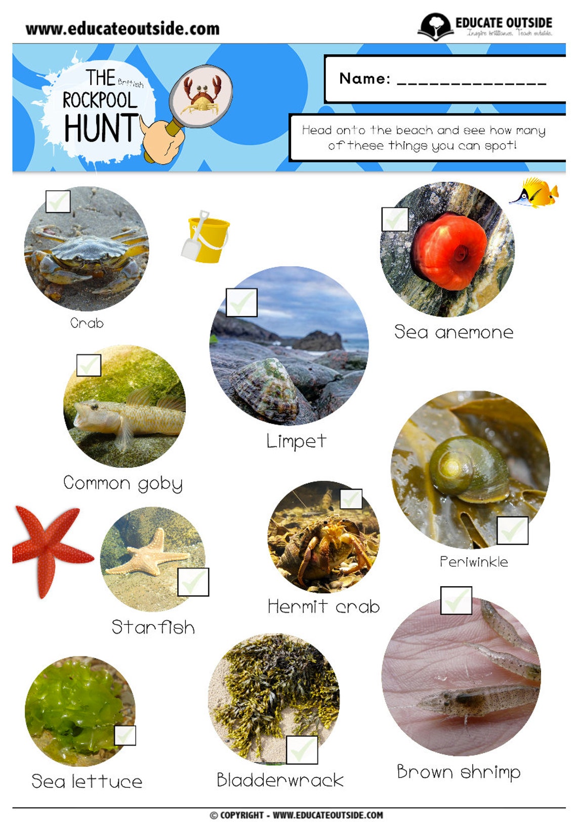 Rockpool Scavenger Hunt (digital Download / Printable) - Etsy