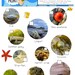 Rockpool Scavenger Hunt (digital Download / Printable) - Etsy