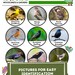 North American Bird ID Guide Digital Download / Printable for Kids - Etsy