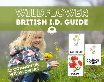 North American Wildflower ID Guide - Digital Download / Printable - Etsy