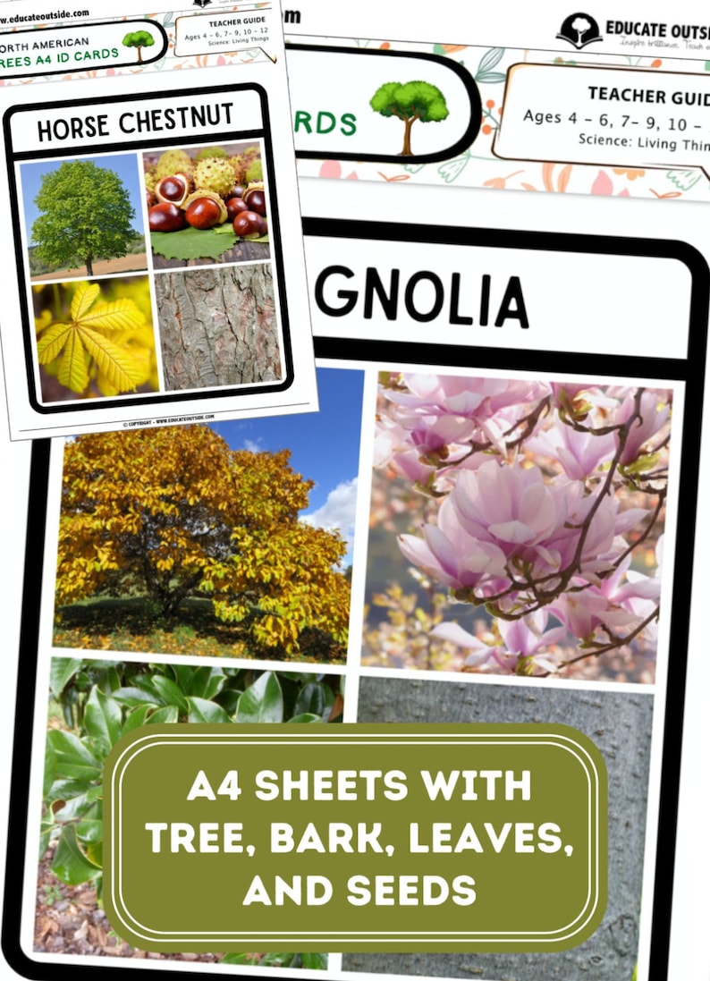 North American Tree ID Guide - Digital Download, 14 Printable ID Sheets ...