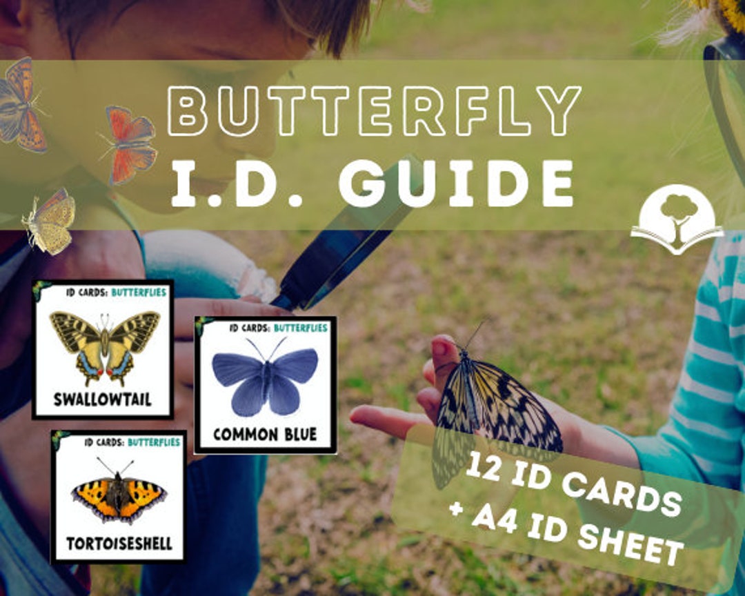 Butterfly ID Guide - 12 ID Flashcards + A4 ID Sheet - Etsy