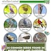 North American Bird ID Guide Digital Download / Printable for Kids - Etsy