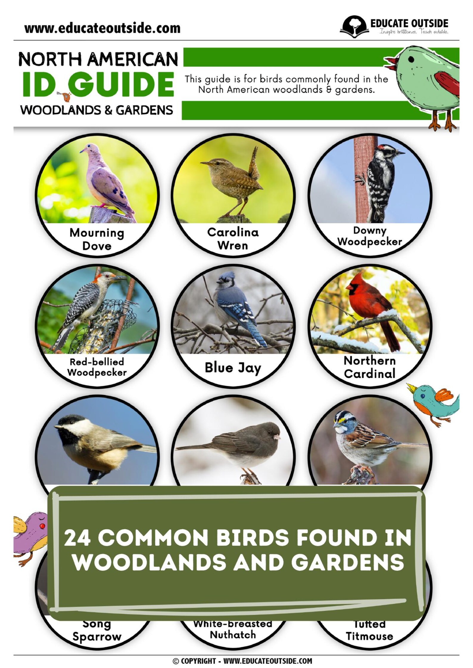 Kids Outdoor ID Guide Bundle - North American Trees, Leaves, Birds, and ...