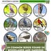 Kids Outdoor ID Guide Bundle - North American Trees, Leaves, Birds, and ...
