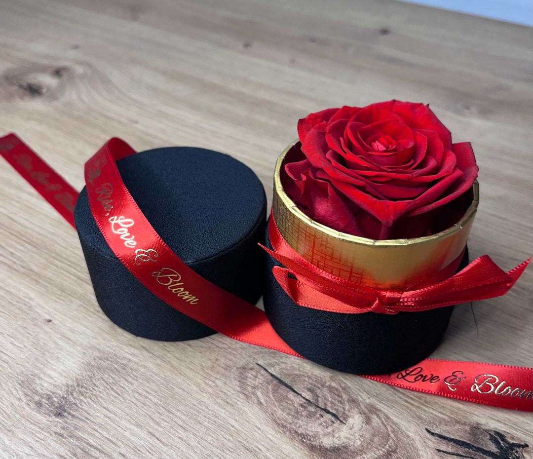Preserved Single Red Rose, Eternal Rose, Rose, Eternity Rose, Roses ...