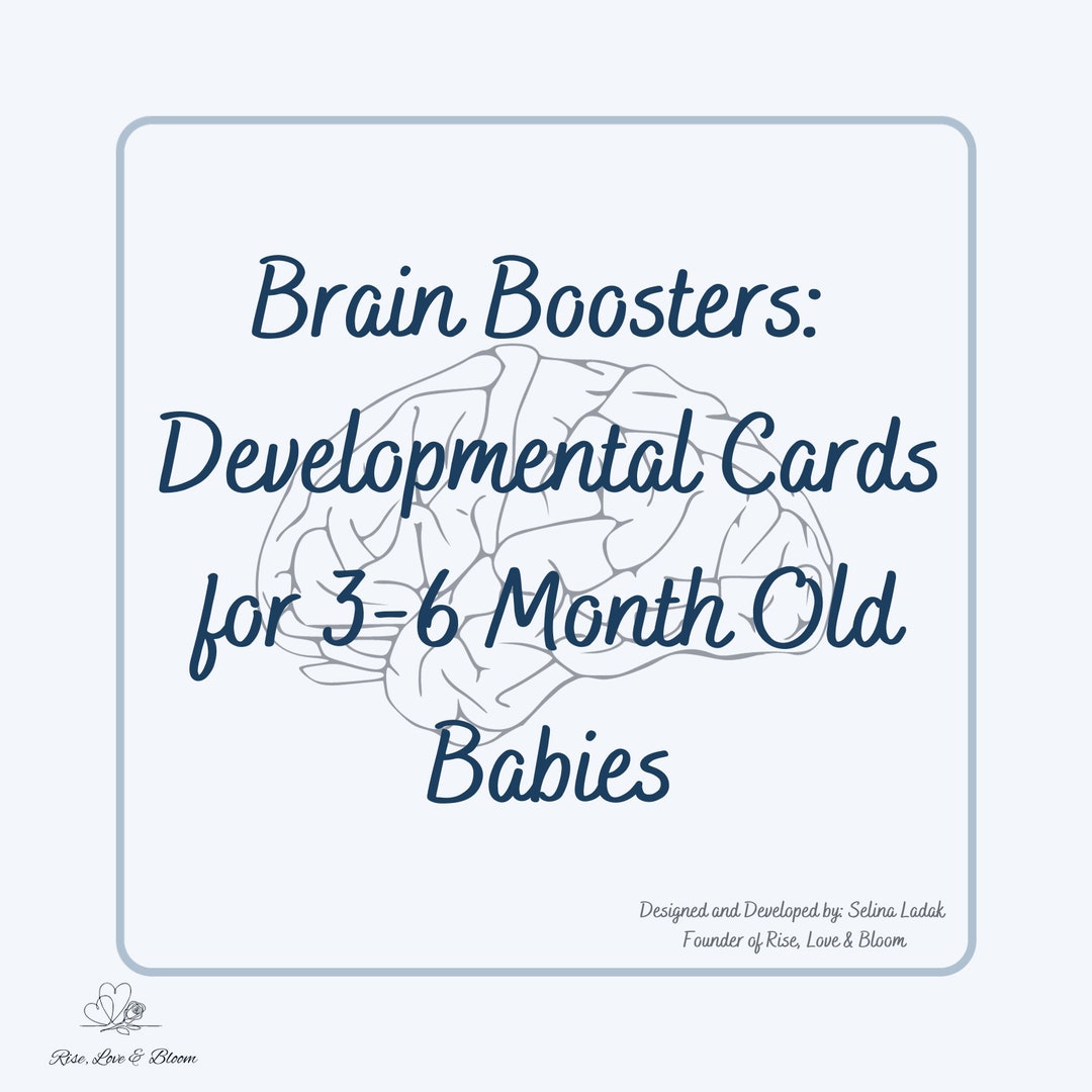 Brain Boosters: 3 6 Month Old Flashcards - Etsy