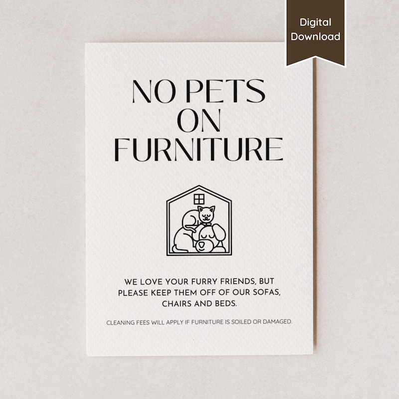 Pet Couch Pet Furniture - Etsy