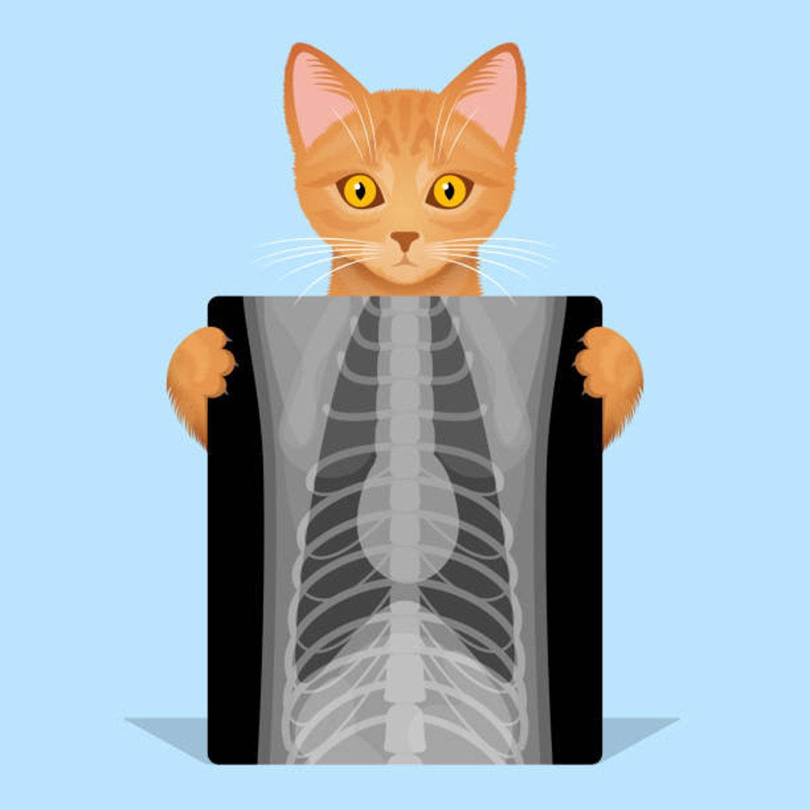 Diagnostic Imaging: Radiograph Technique Chart and Radiology - Etsy