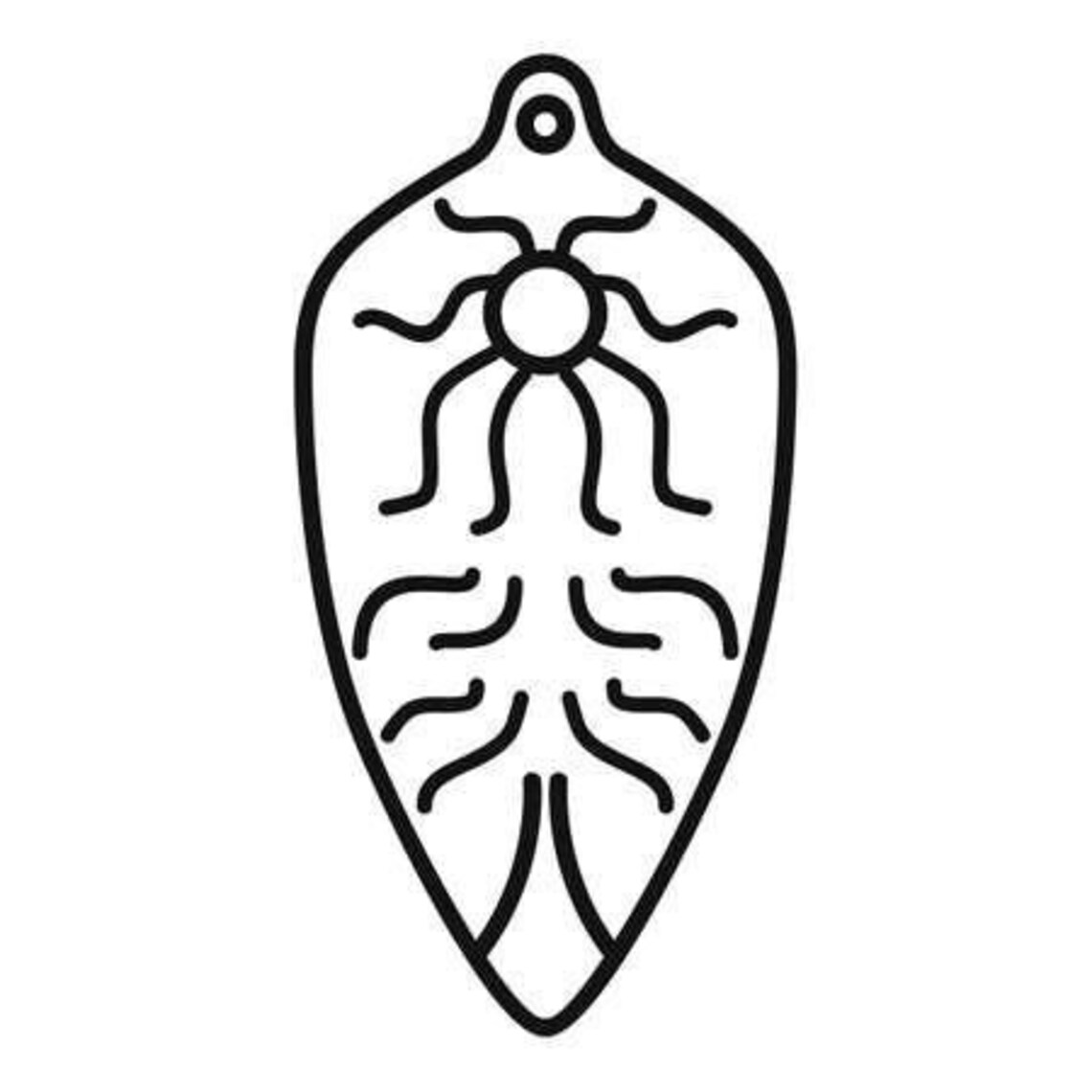 Parasitology: Small and Large Animal Flukes - Etsy