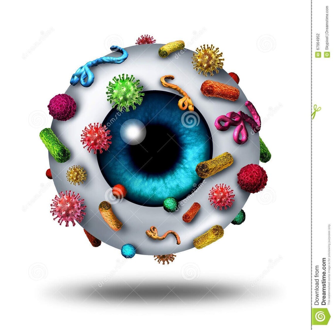 Vet Path 2: Ocular Pathology - Etsy