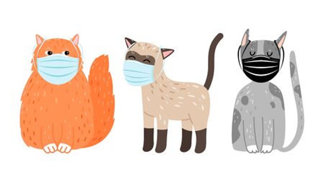 Virology:feline Viral Diseases - Etsy
