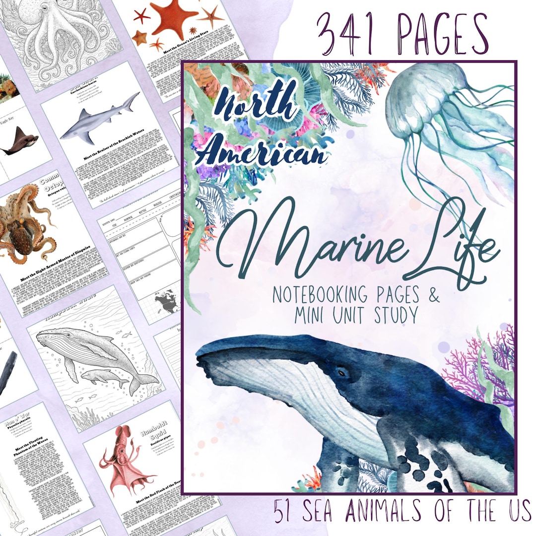 Marine Biology Unit Study and Homeschool Ocean Life Notebooking Journal ...