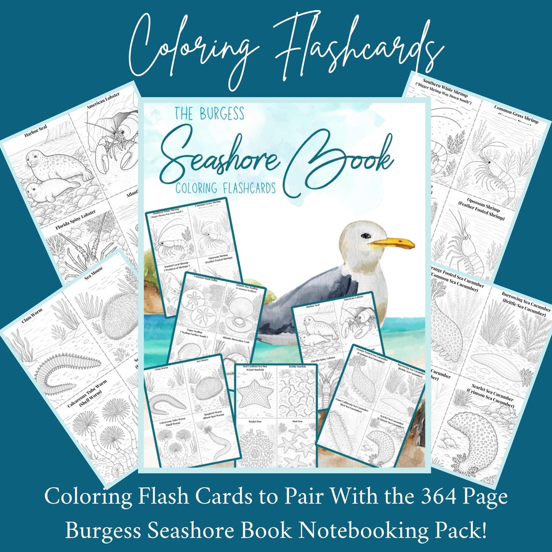 The Burgess Seashore Book Flashcards for Coloring: Ambleside Homeschool ...