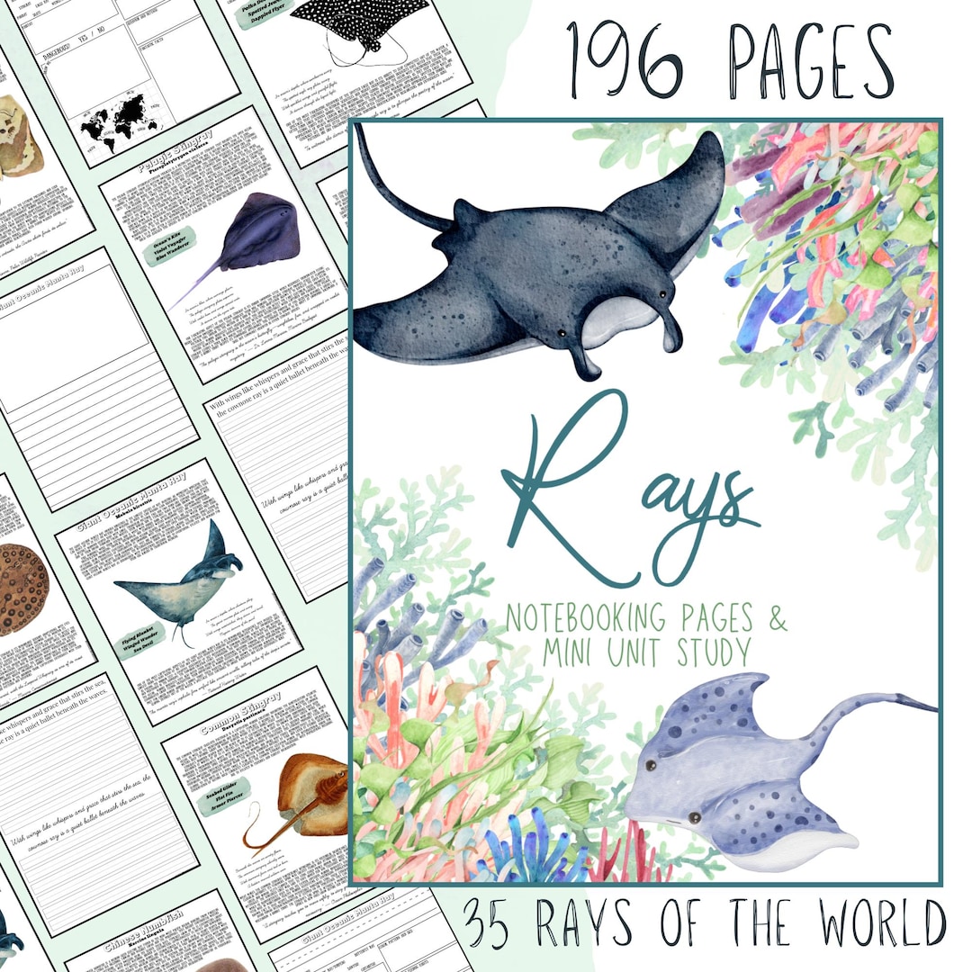 Ocean Rays Homeschool Unit Study: Stingrays Notebooking Nature Journal ...