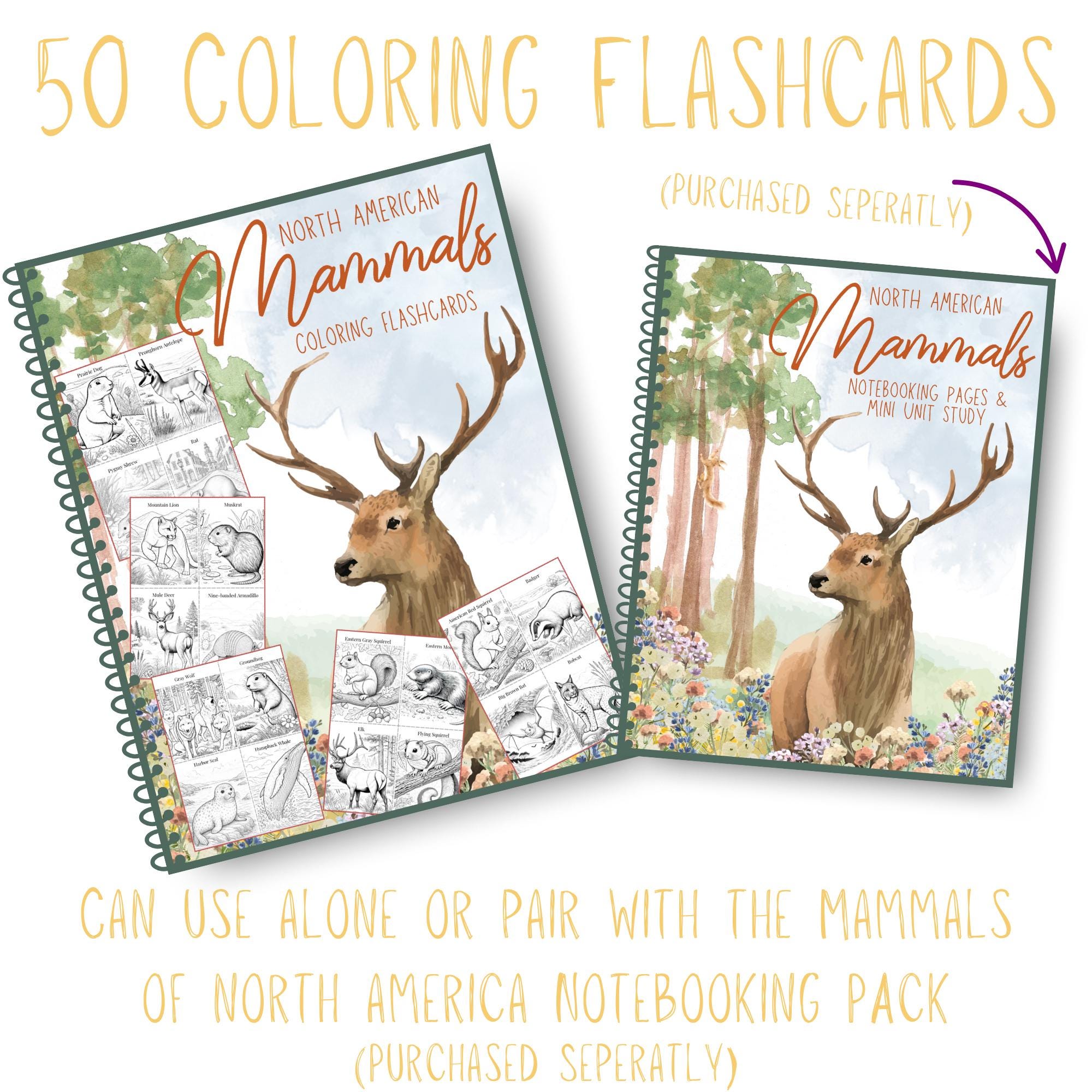 North American Mammals Coloring Flashcards, Homeschool Nature Study ...