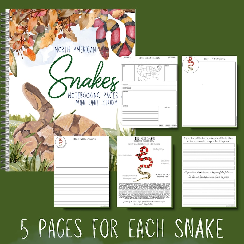 US Snakes Unit Study: Homeschool Open and Go Nature Journal ...