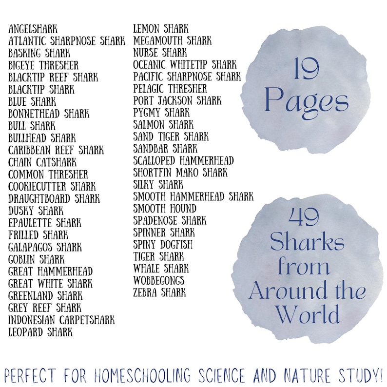 Sharks of the World Coloring Flashcards: Hands on Homeschool Marine ...