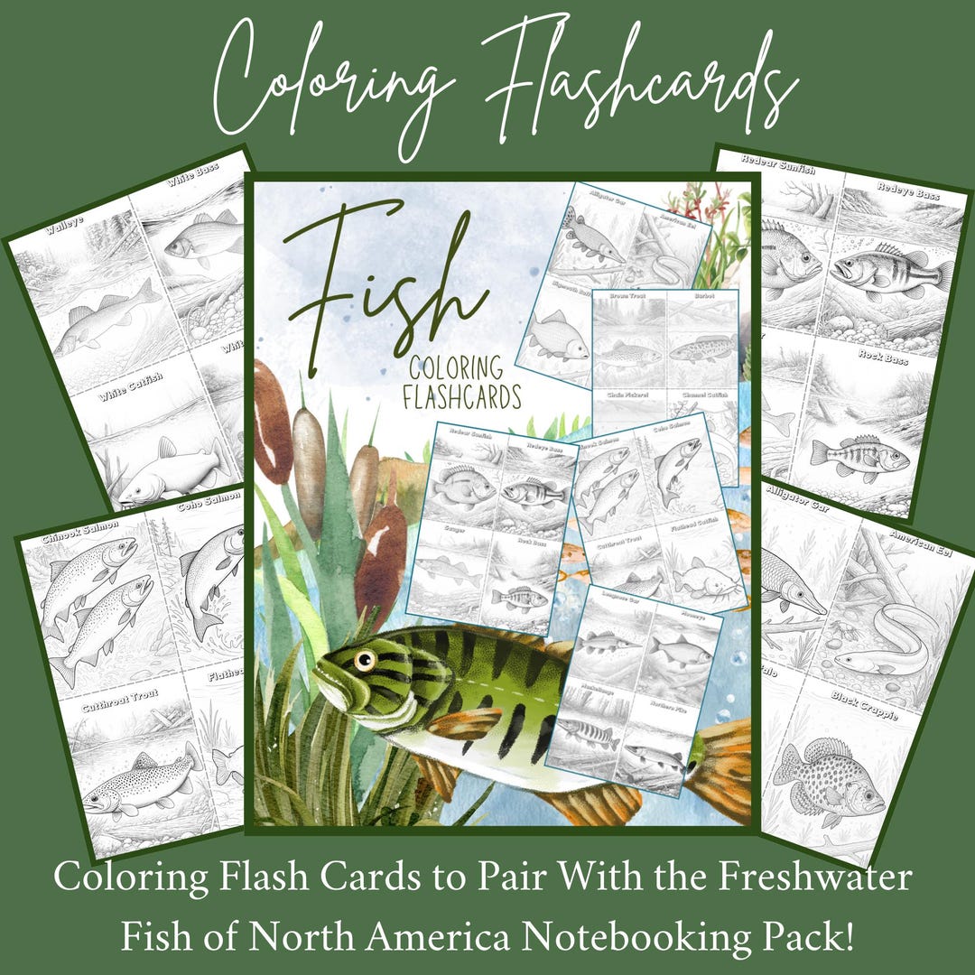 Freshwater Fish Flashcards for Coloring Hands on Homeschool Unit Study ...