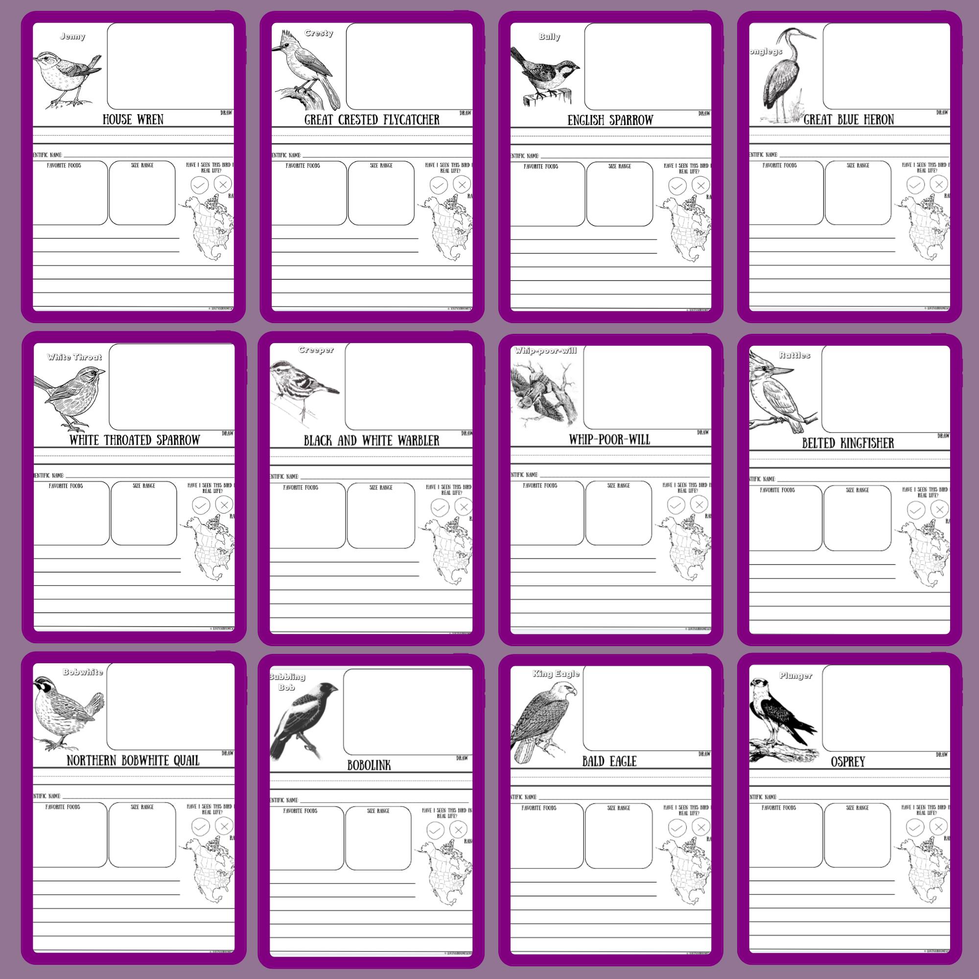 The Burgess Bird Book Notebooking Pages: Homeschool Unit Study and ...